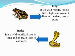 Typesofanimalppt | PPT