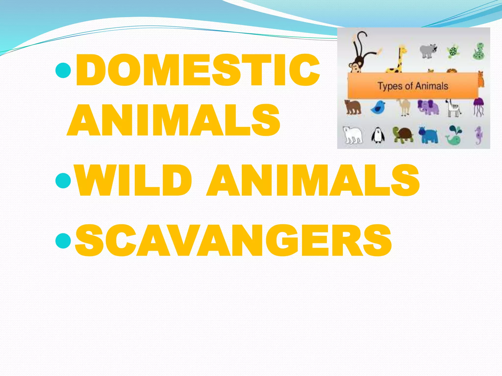 Types of animal ppt | PPTX
