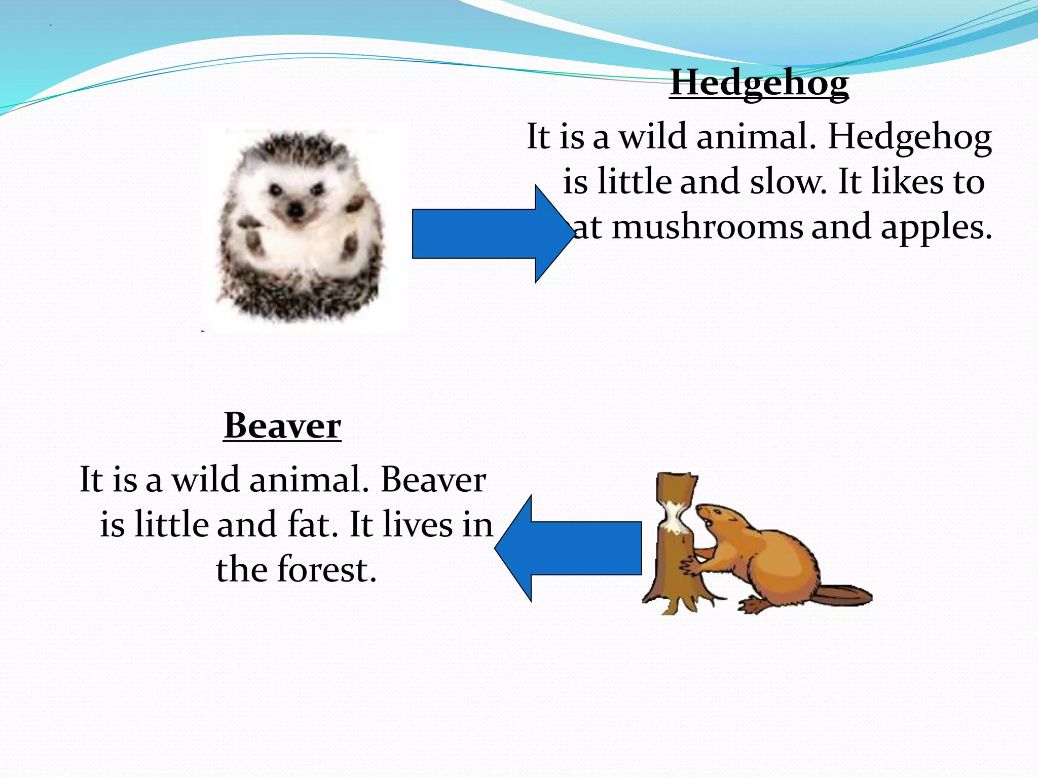 Types of animal ppt | PPTX