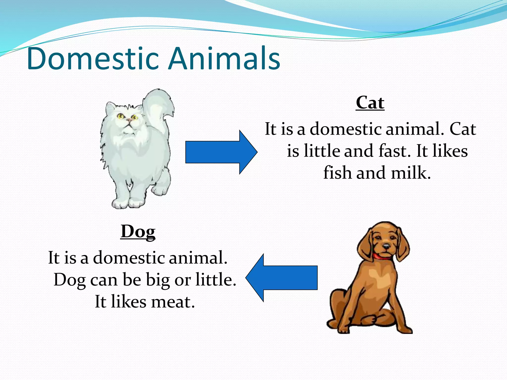 Types of animal ppt | PPTX