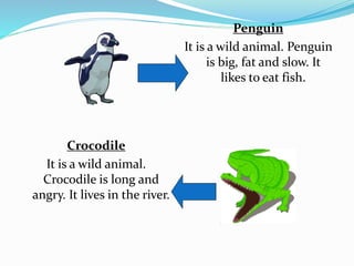 Types of animal ppt | PPTX
