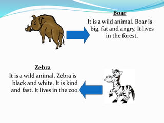 Types of animal ppt | PPTX