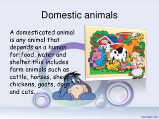 Types of animal ppt | PPTX