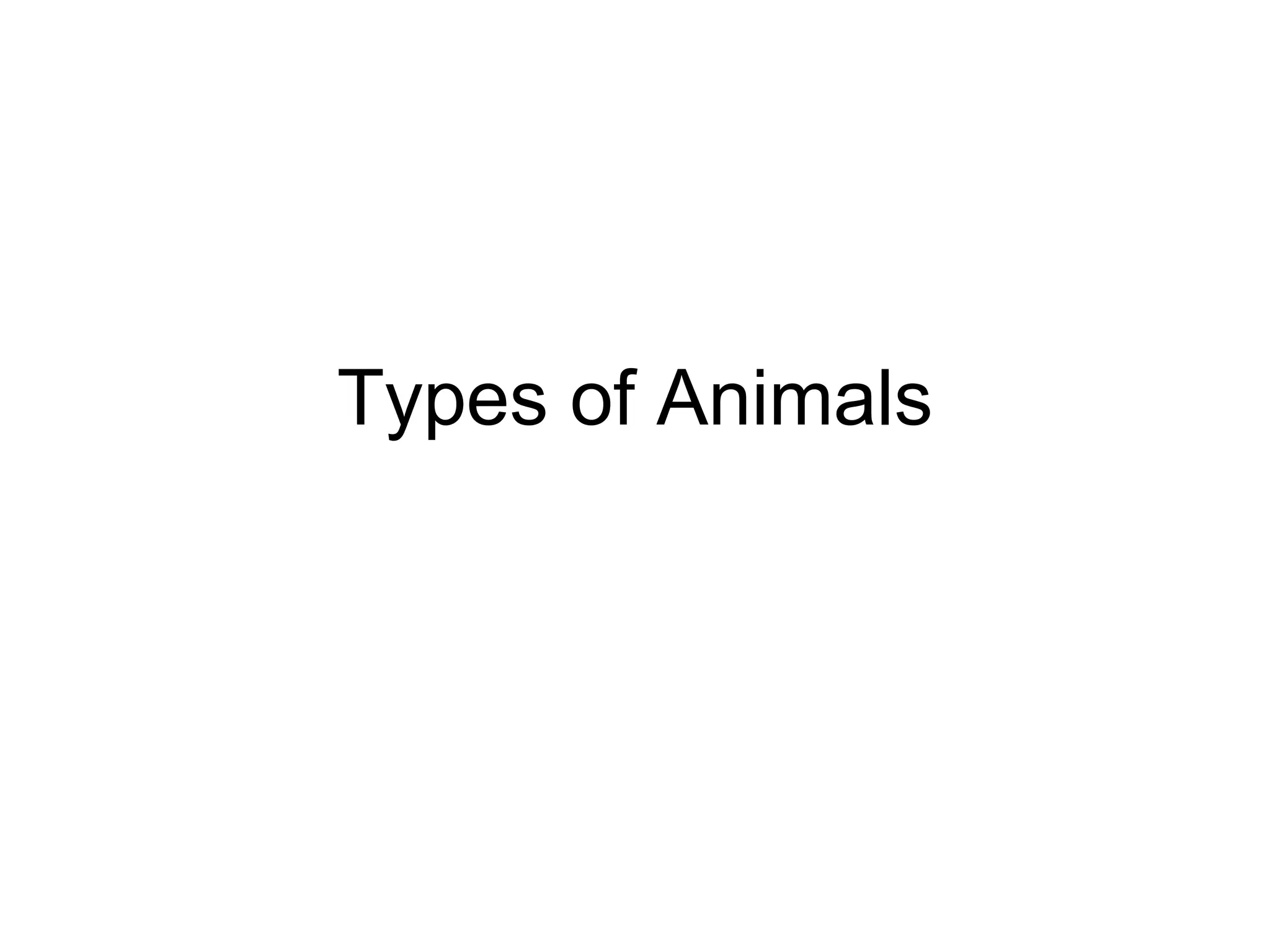 Types of animals | PPT