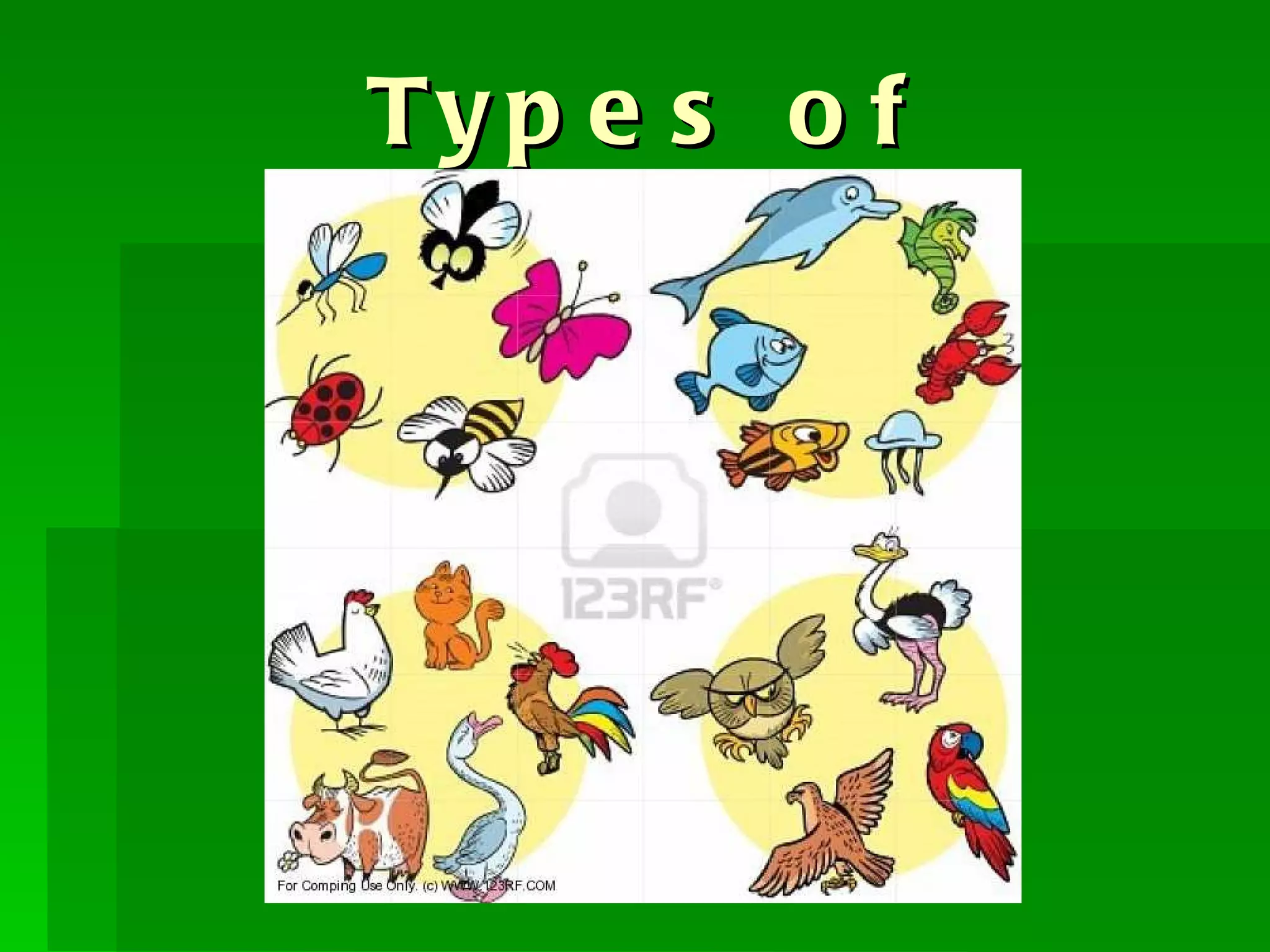 Typesofanimals 100430110153-phpapp02[1] | PPT