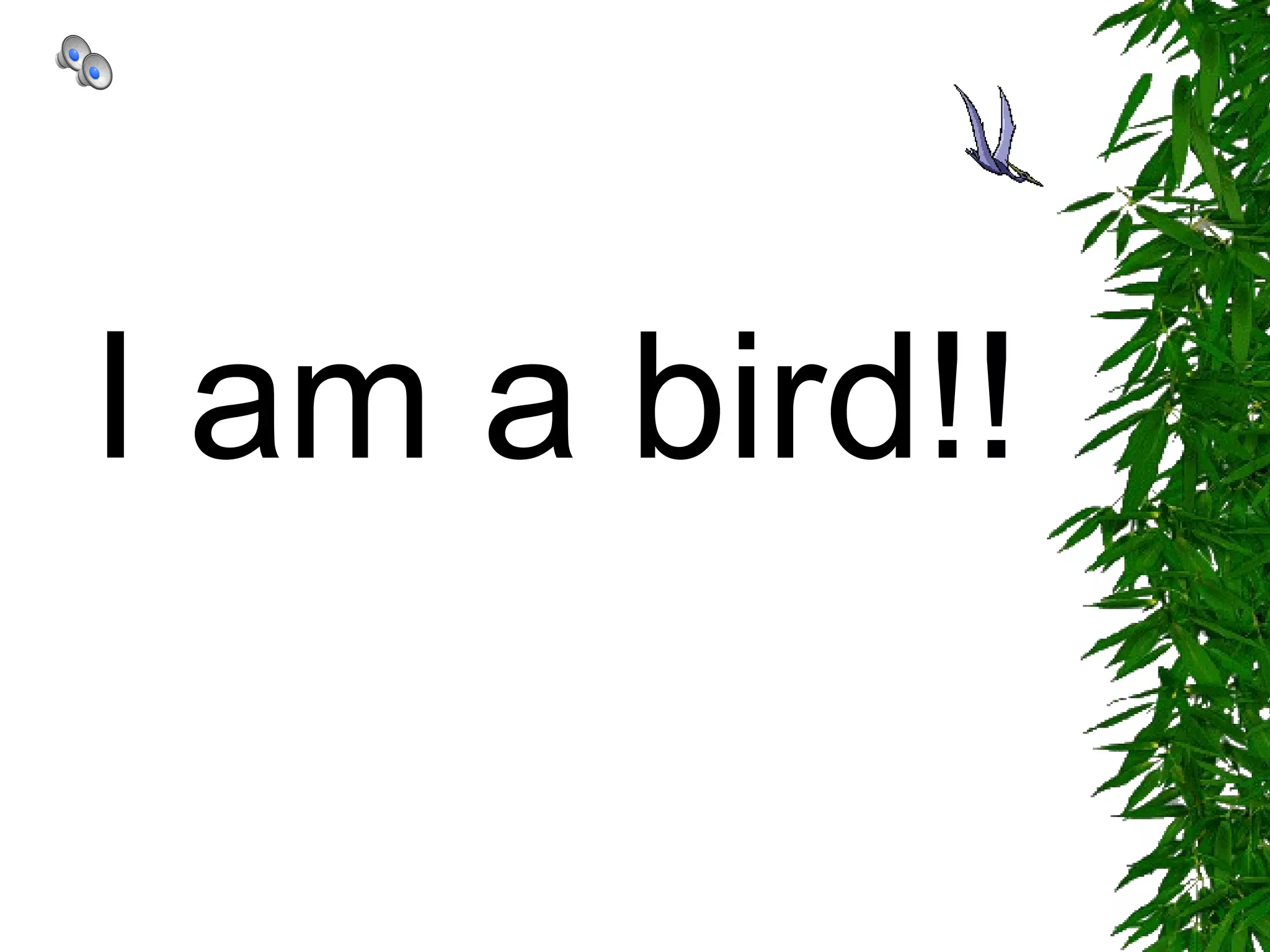 Types of animals | PPT