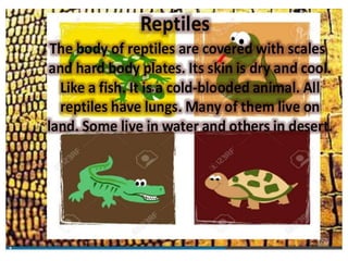 types of animals with features, mammals, amphibians, birds | PPTX