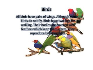 types of animals with features, mammals, amphibians, birds | PPTX