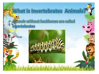 types of animals with features, mammals, amphibians, birds | PPTX ...