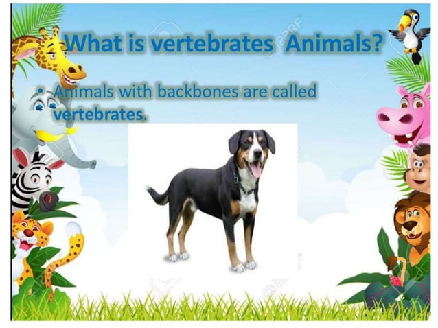 types of animals with features, mammals, amphibians, birds | PPTX ...