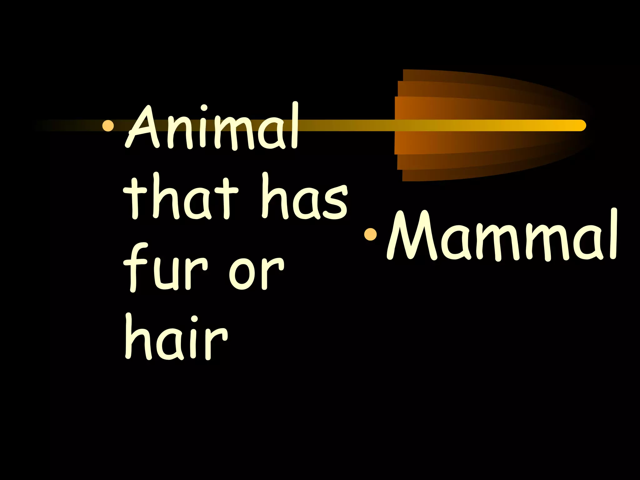 Types of animals and their traits (science) | PPT