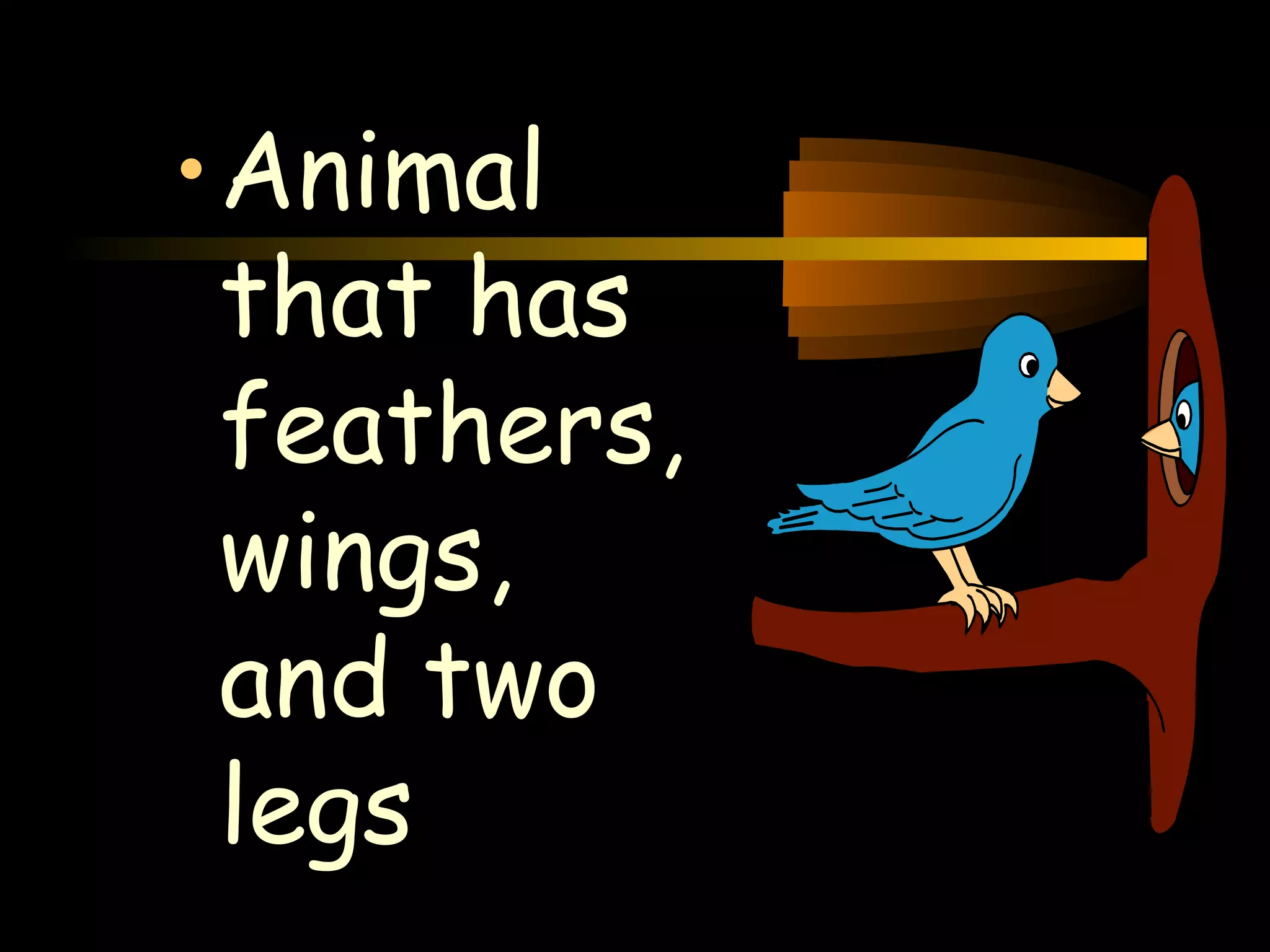 Types of animals and their traits (science) | PPT