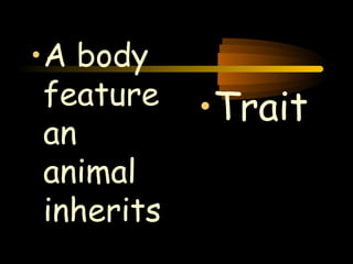 Types of animals and their traits (science) | PPT