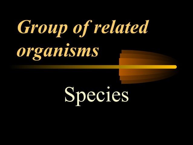 Types of animals and their traits (science) | PPT