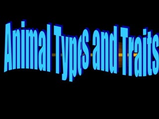 Types of animals and their traits (science) | PPT