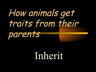 Types of animals and their traits (science) | PPT