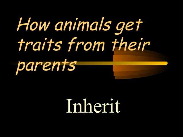 Types of animals and their traits (science) | PPT | Reptiles | Pets