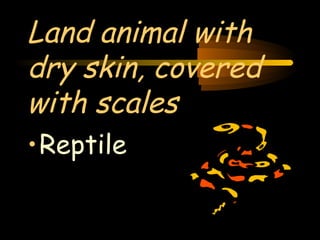 Types of animals and their traits (science) | PPT