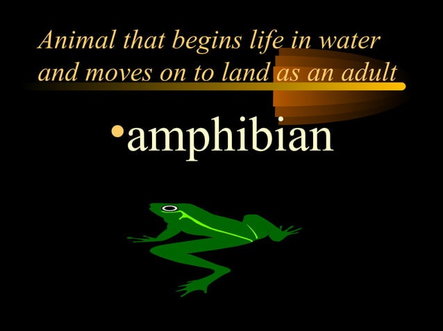 Types of animals and their traits (science) | PPT