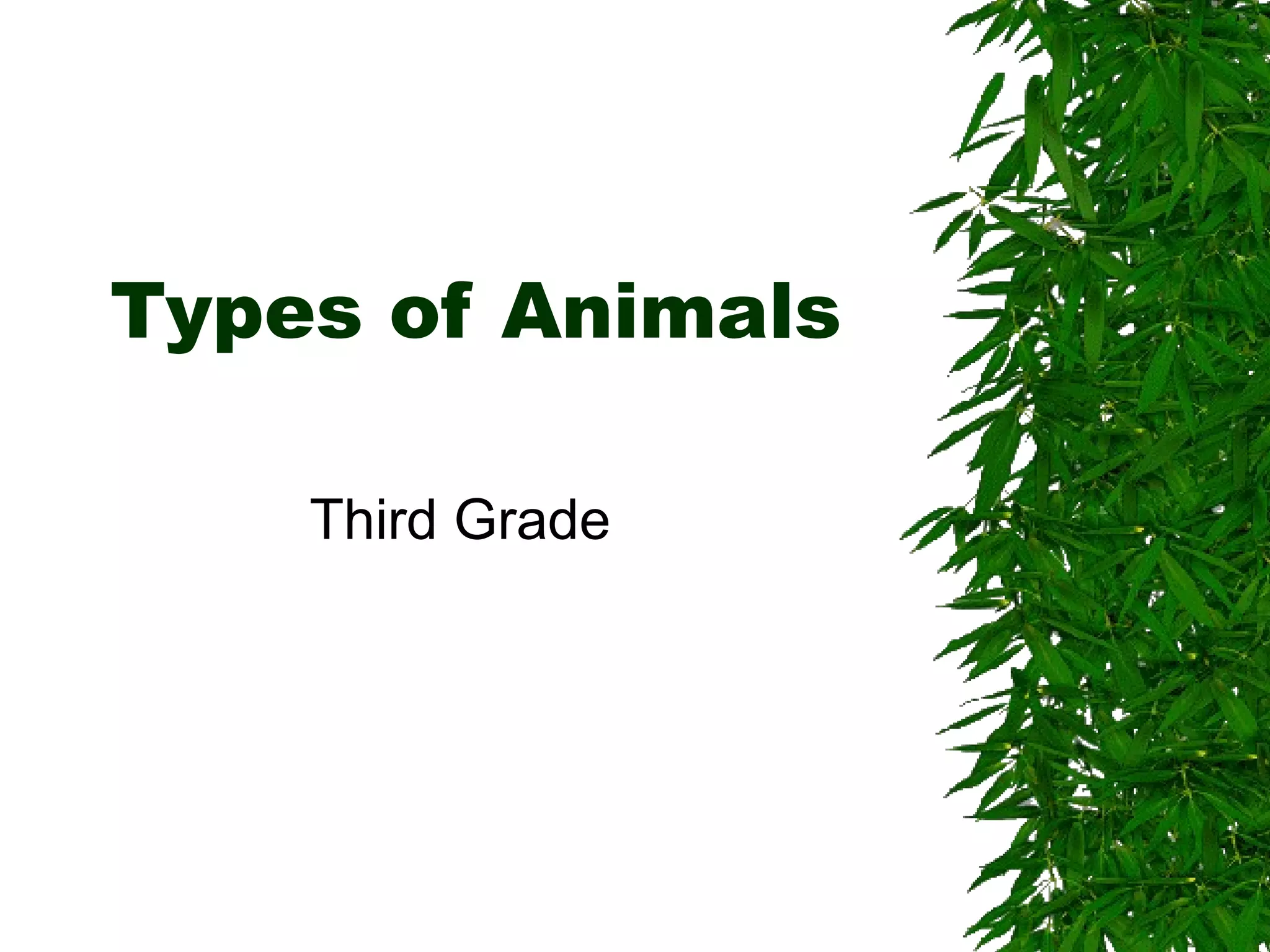 Types of animals (science) | PPT