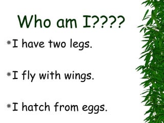 Types of animals (science) | PPT