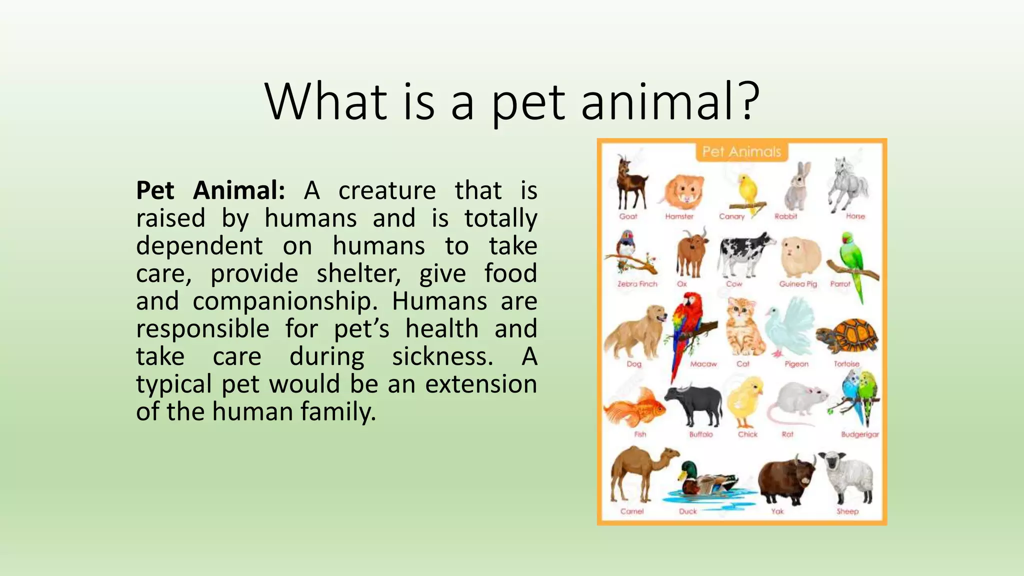 Types of animals | PPTX