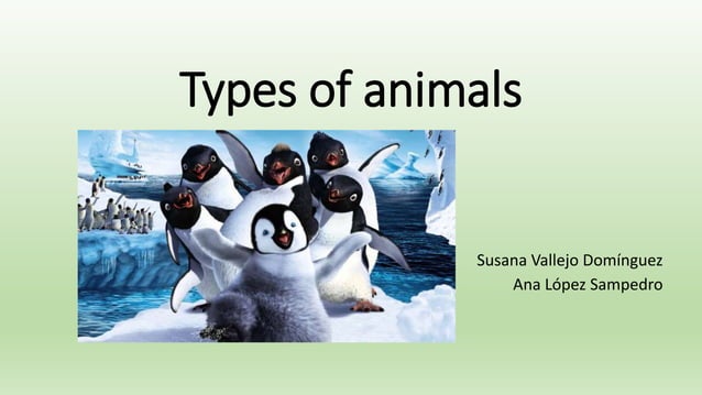 Types of animals | PPT