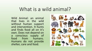 Types of animals | PPT