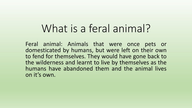 Types of animals | PPT
