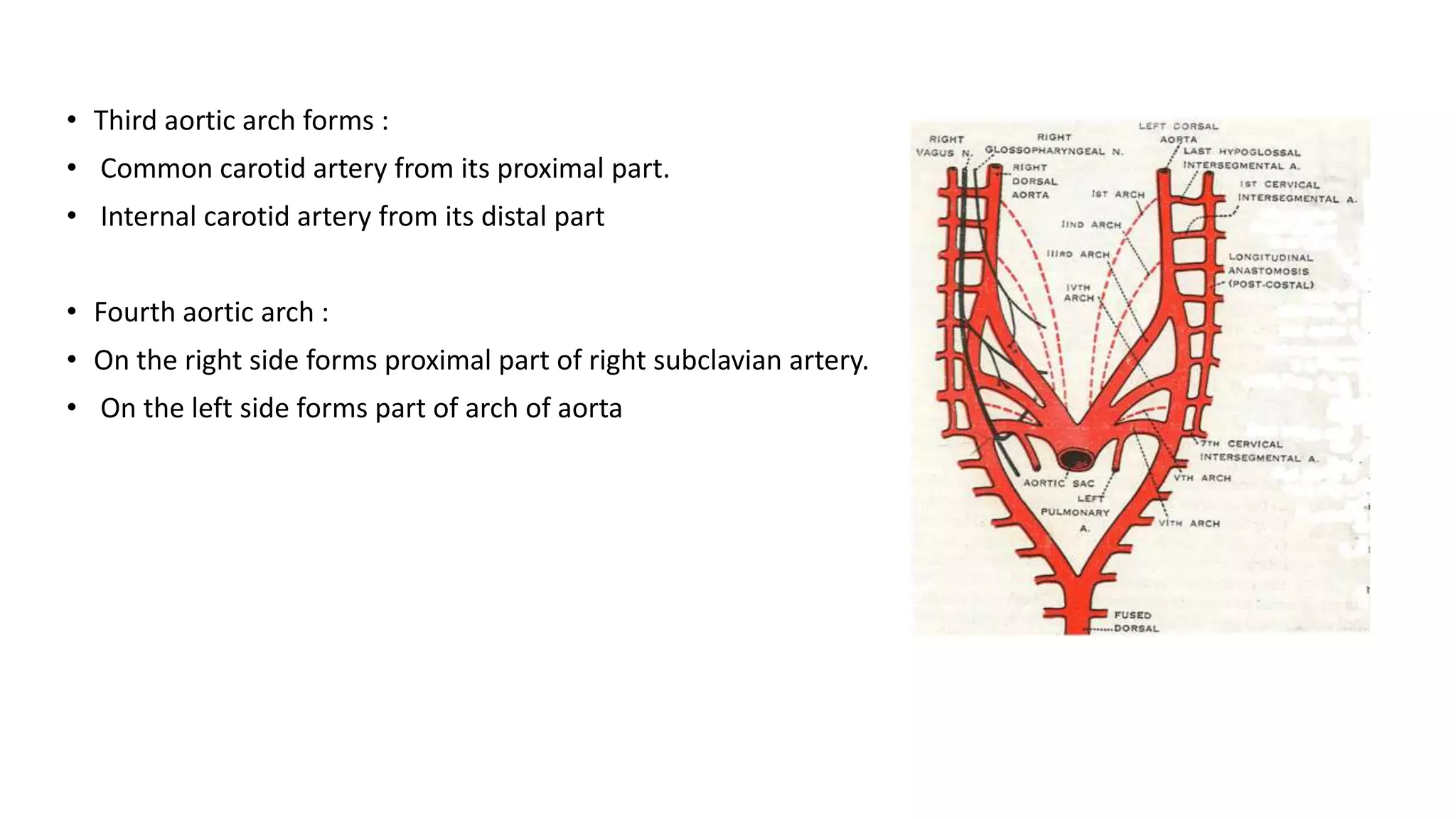 Types of aortic arch and navigation of difficult arches | PPTX