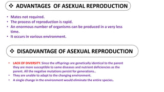 Types of asexual reproduction | PPTX