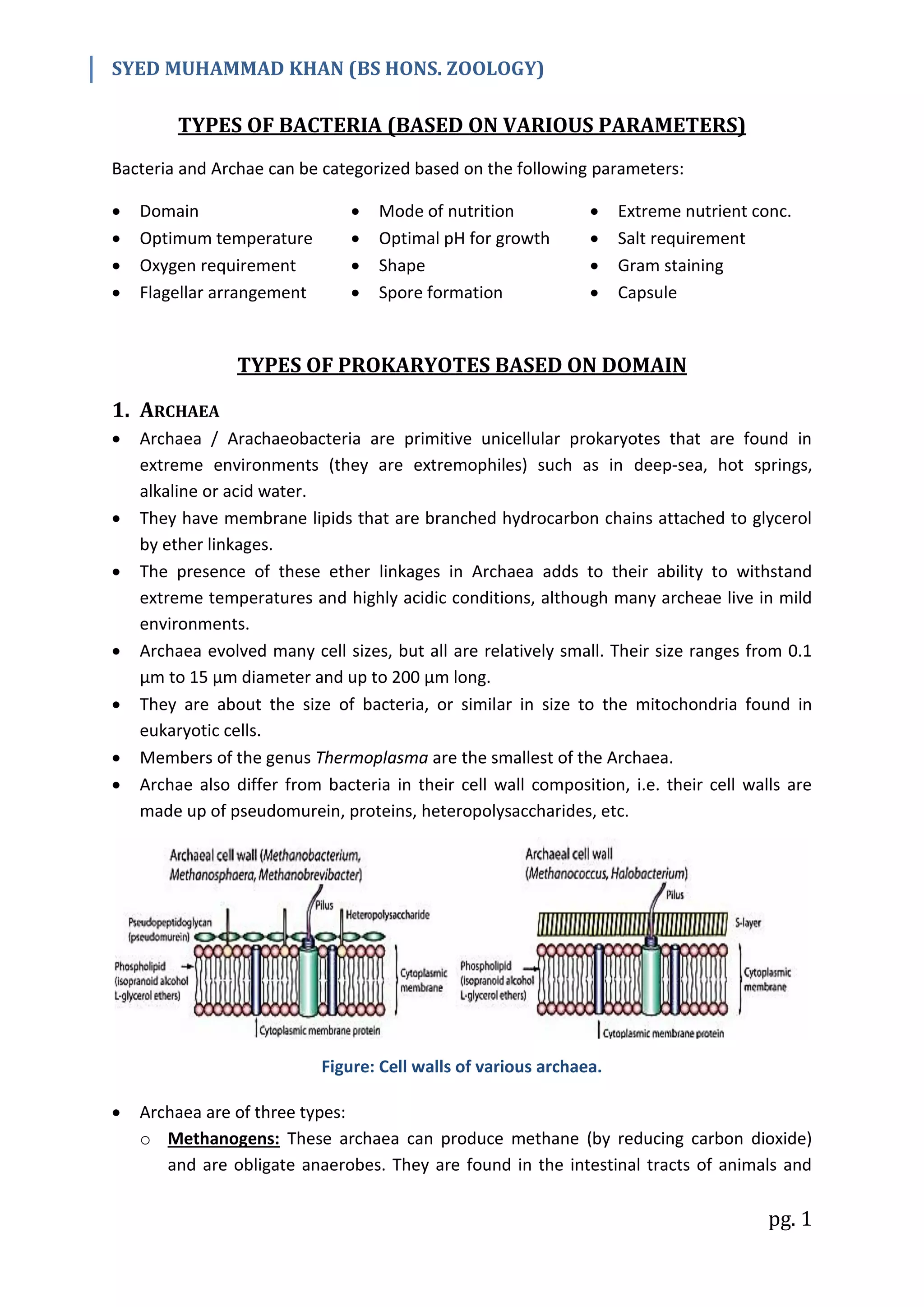 Types of Bacteria | PDF