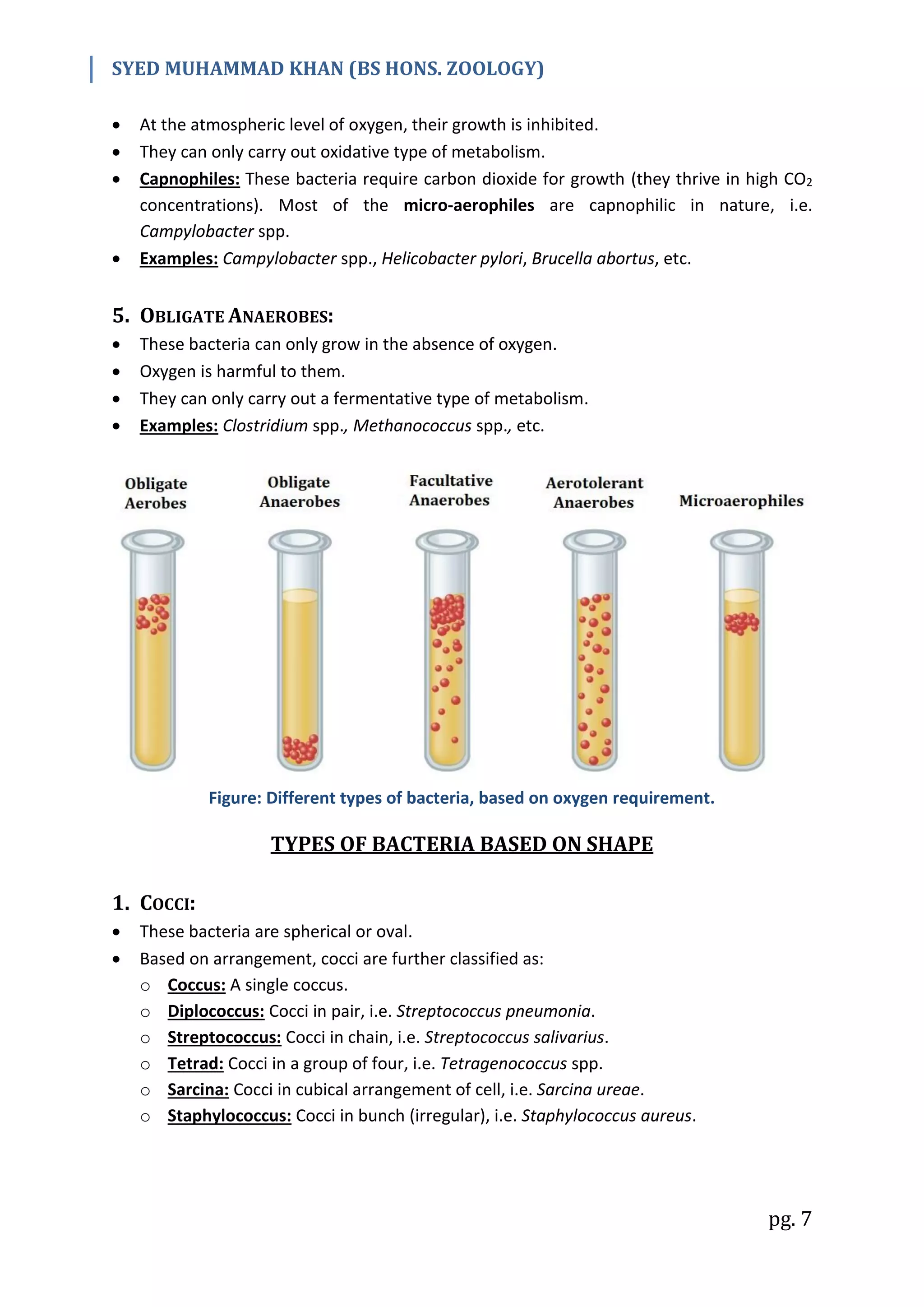 Types of Bacteria | PDF