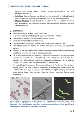 Examples Of Bacteria