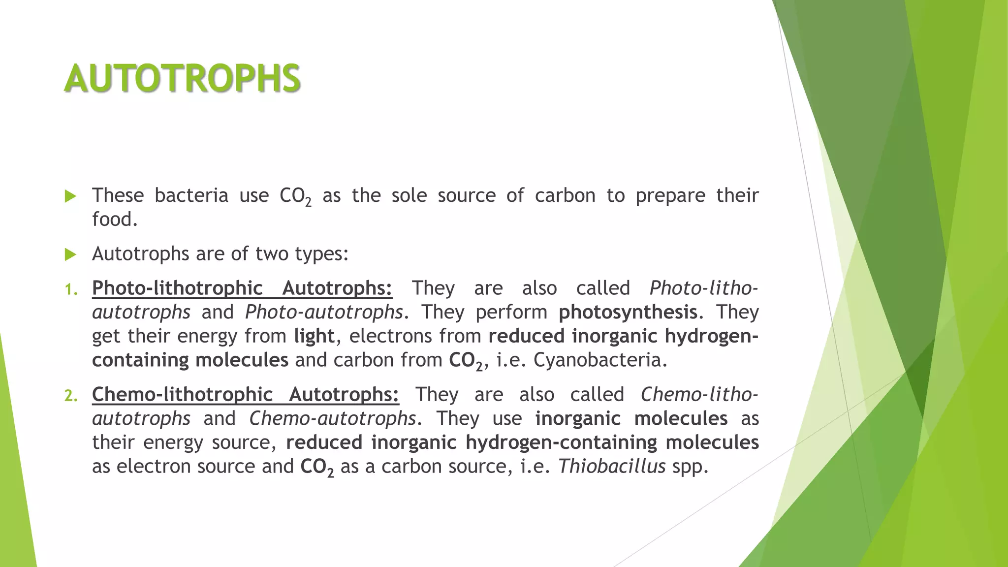 Types of Bacteria | PDF