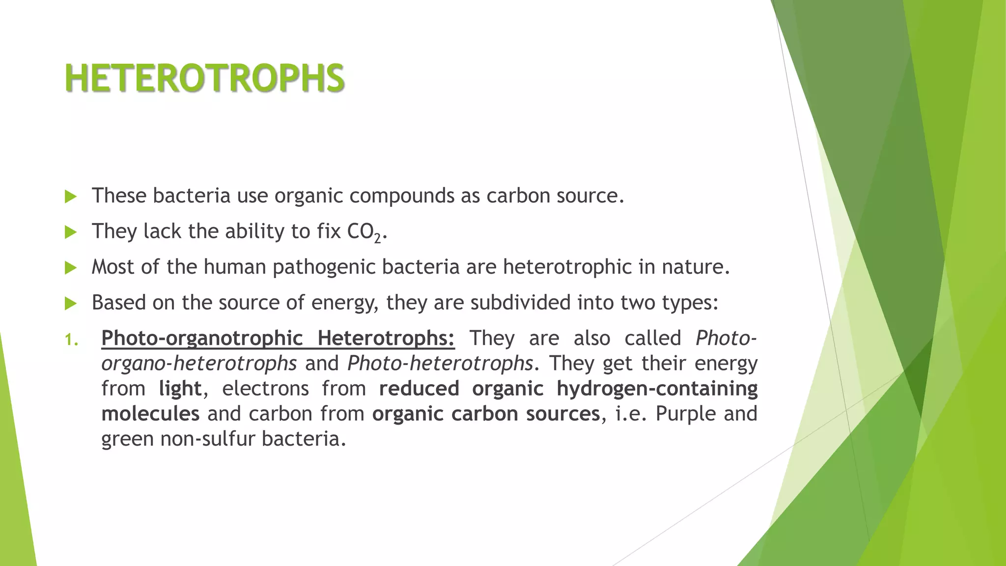 Types of Bacteria | PDF