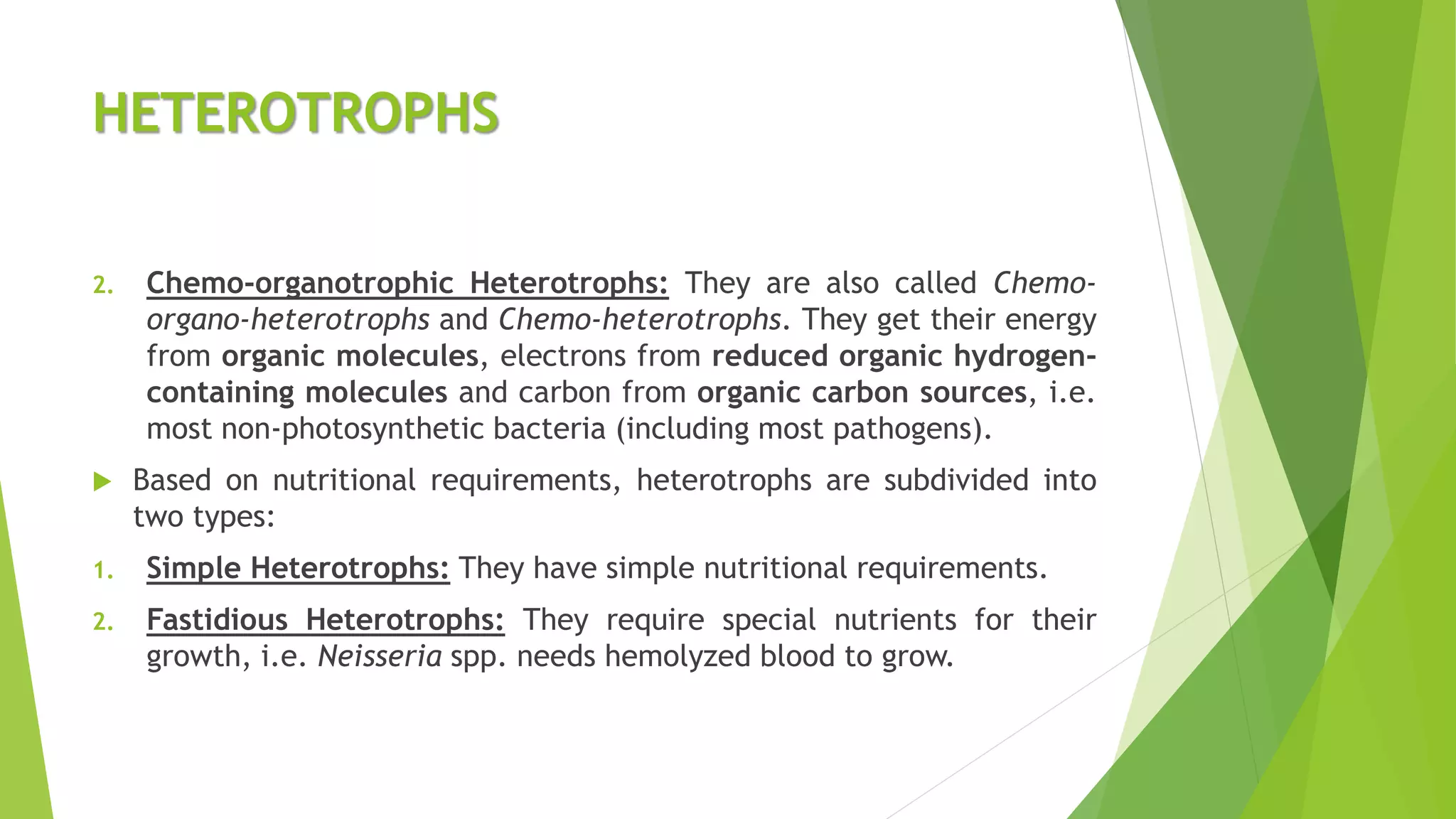 Types of Bacteria | PDF