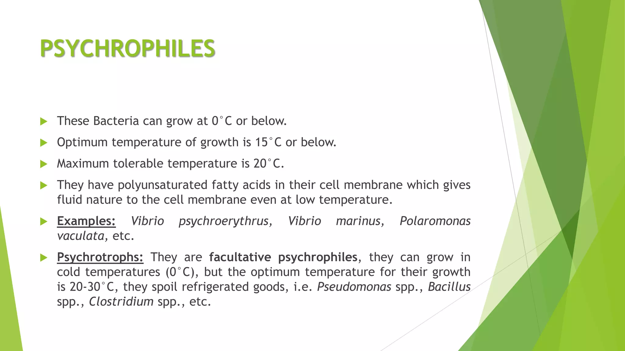Types of Bacteria | PDF
