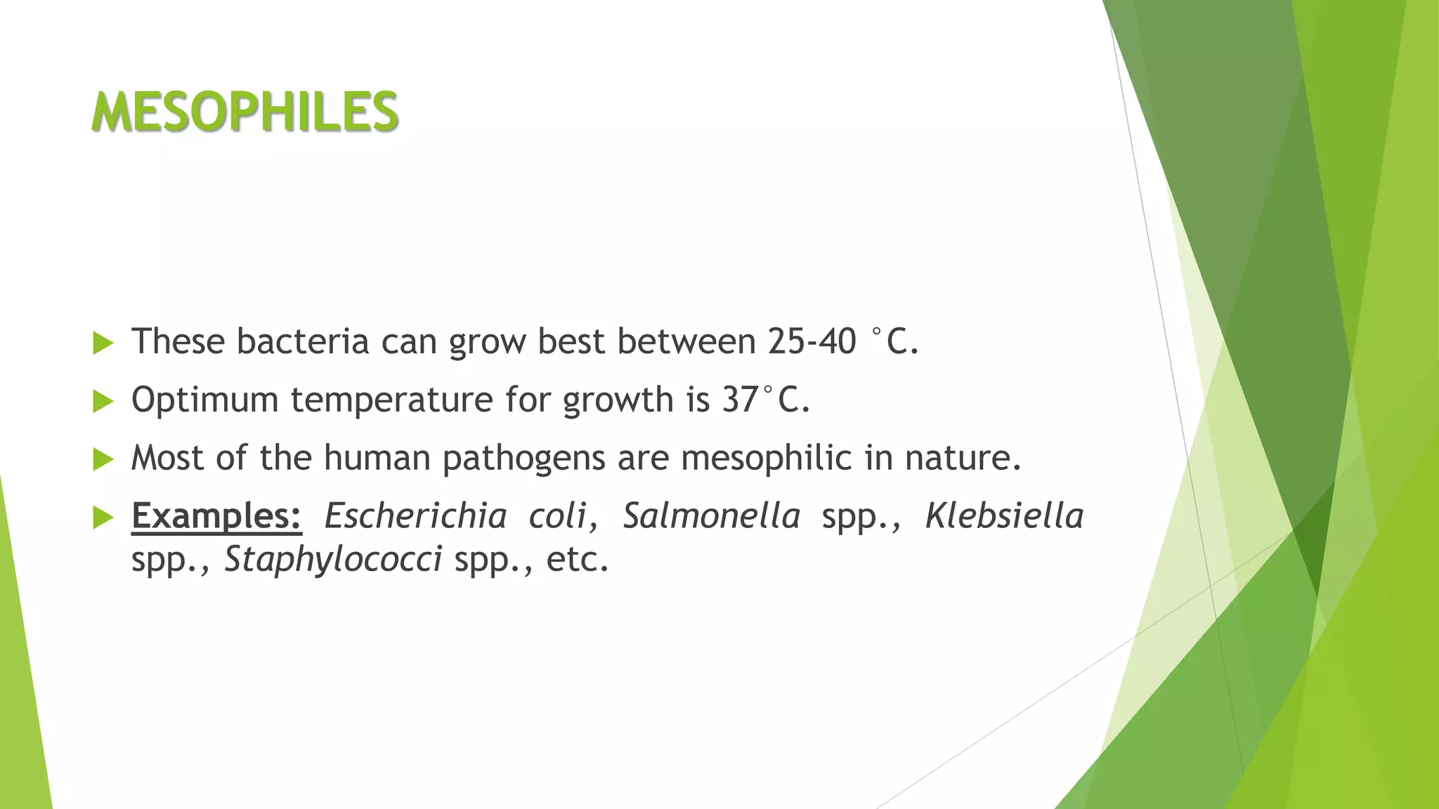 Types of Bacteria | PDF