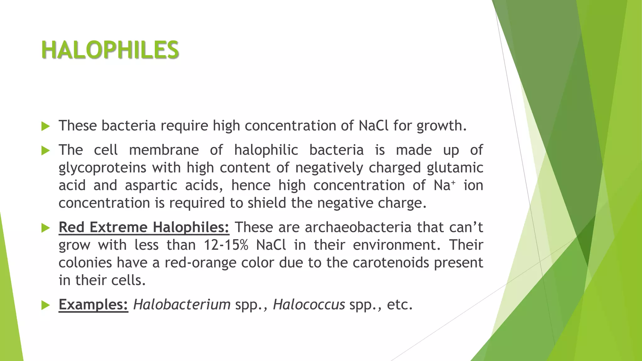 Types of Bacteria | PDF