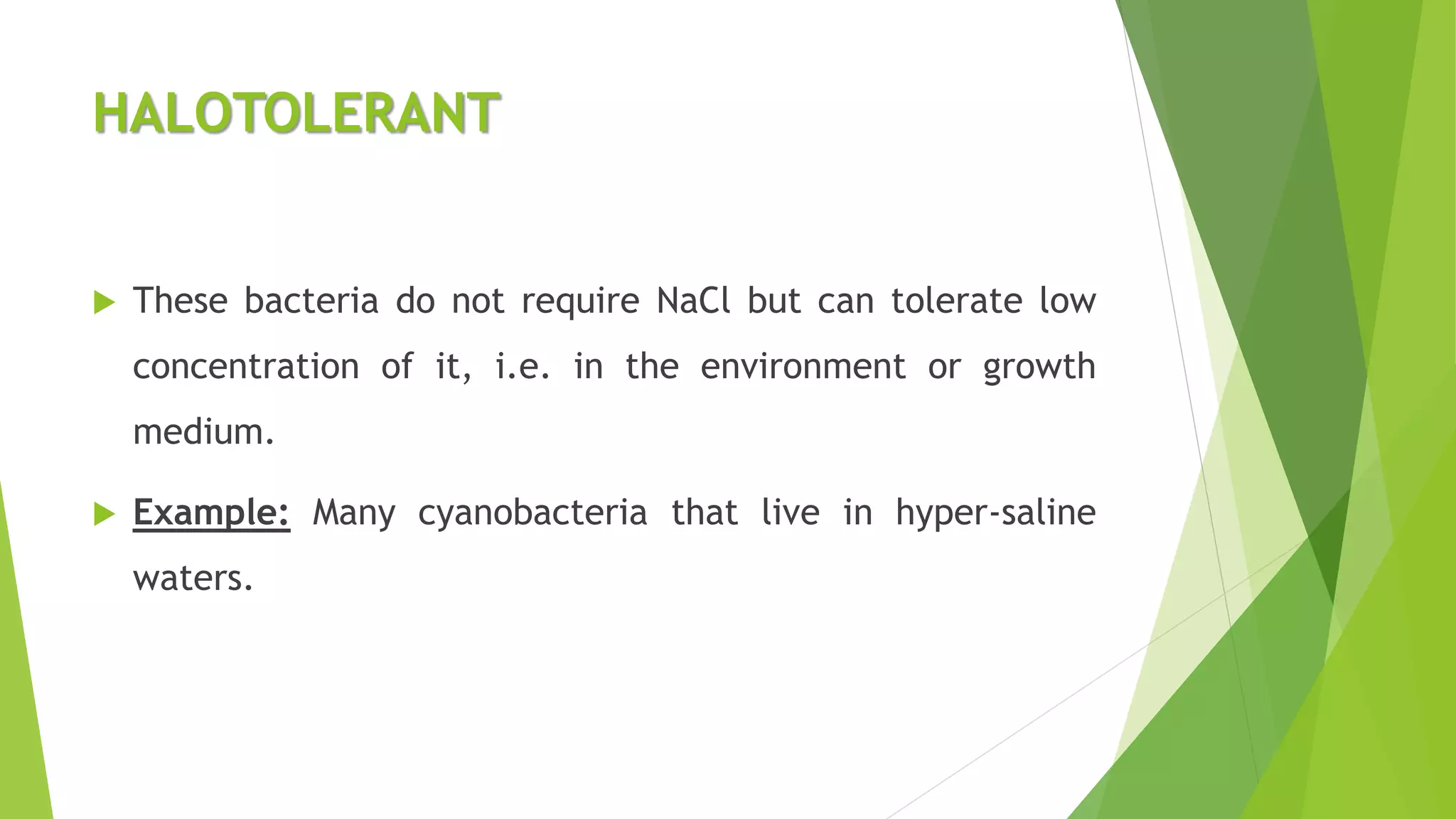 Types of Bacteria | PDF