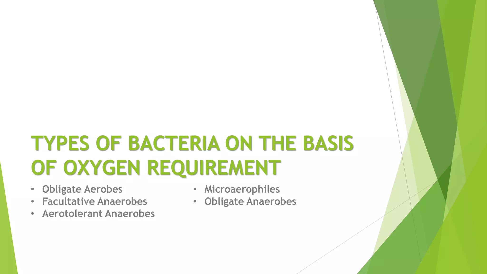Types of Bacteria | PDF