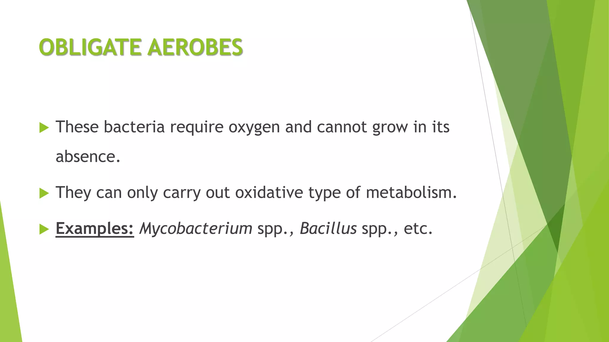 Types of Bacteria | PDF