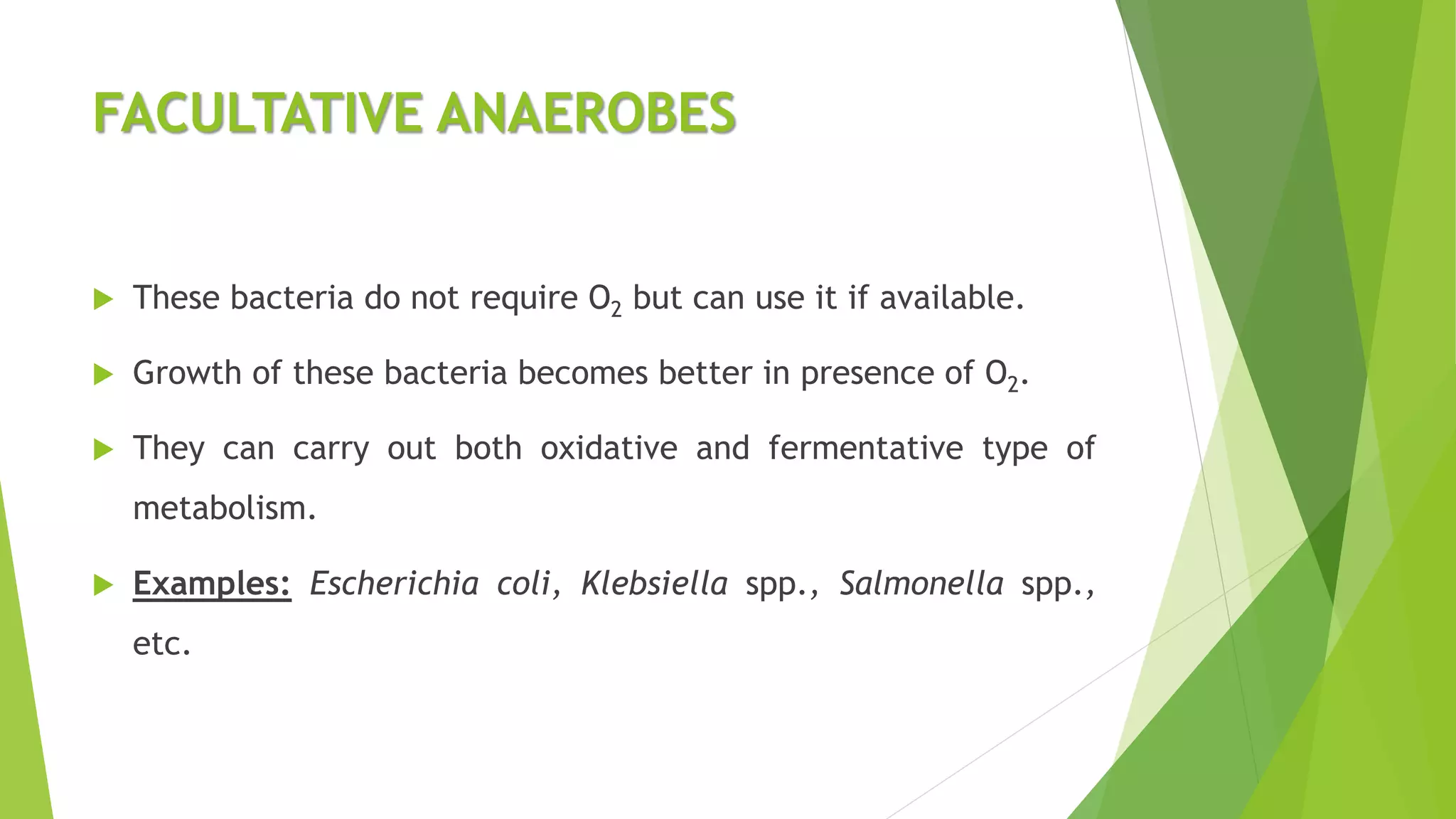 Types of Bacteria | PDF
