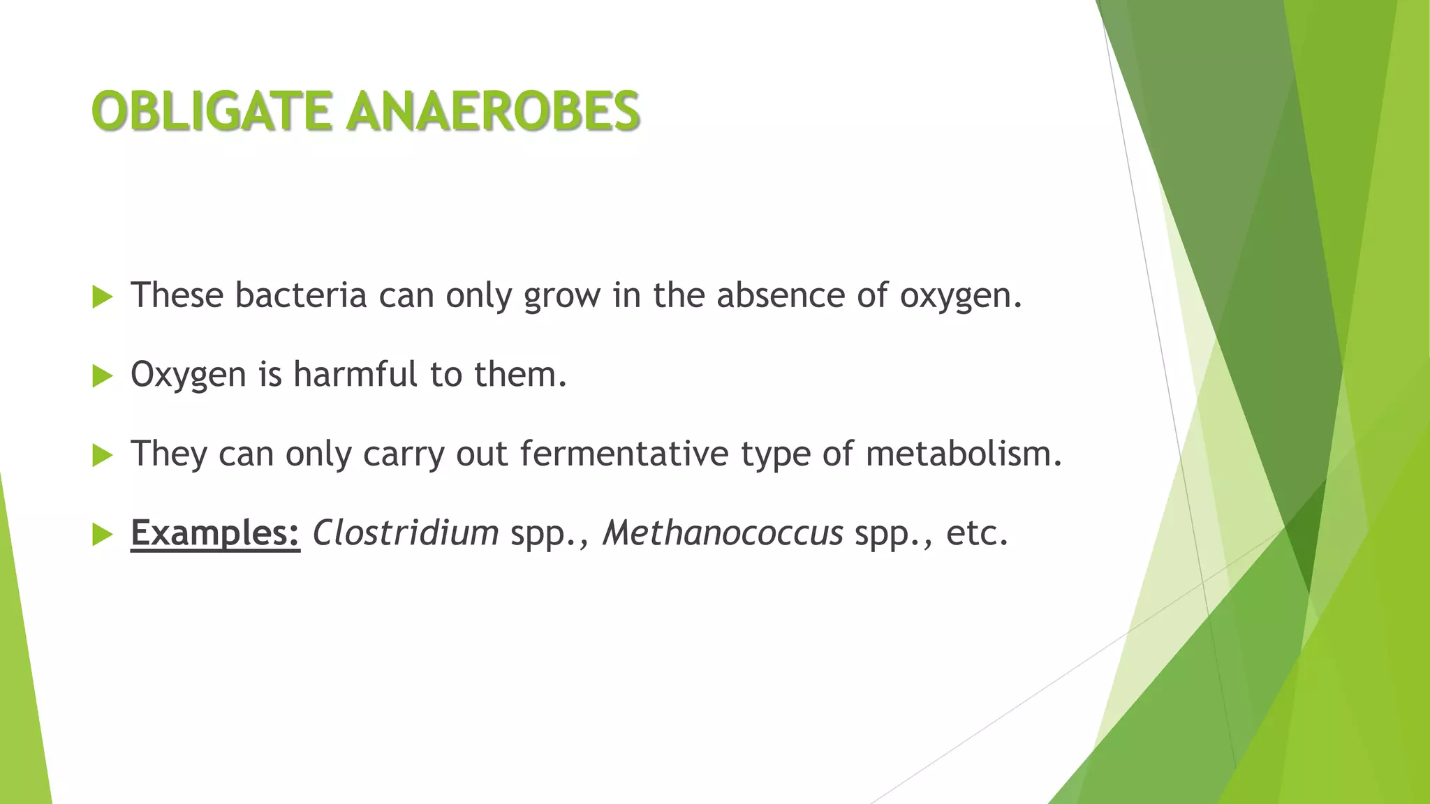 Types of Bacteria | PDF