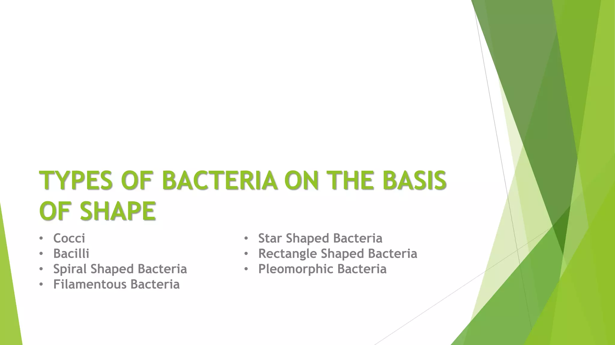 Types of Bacteria | PDF