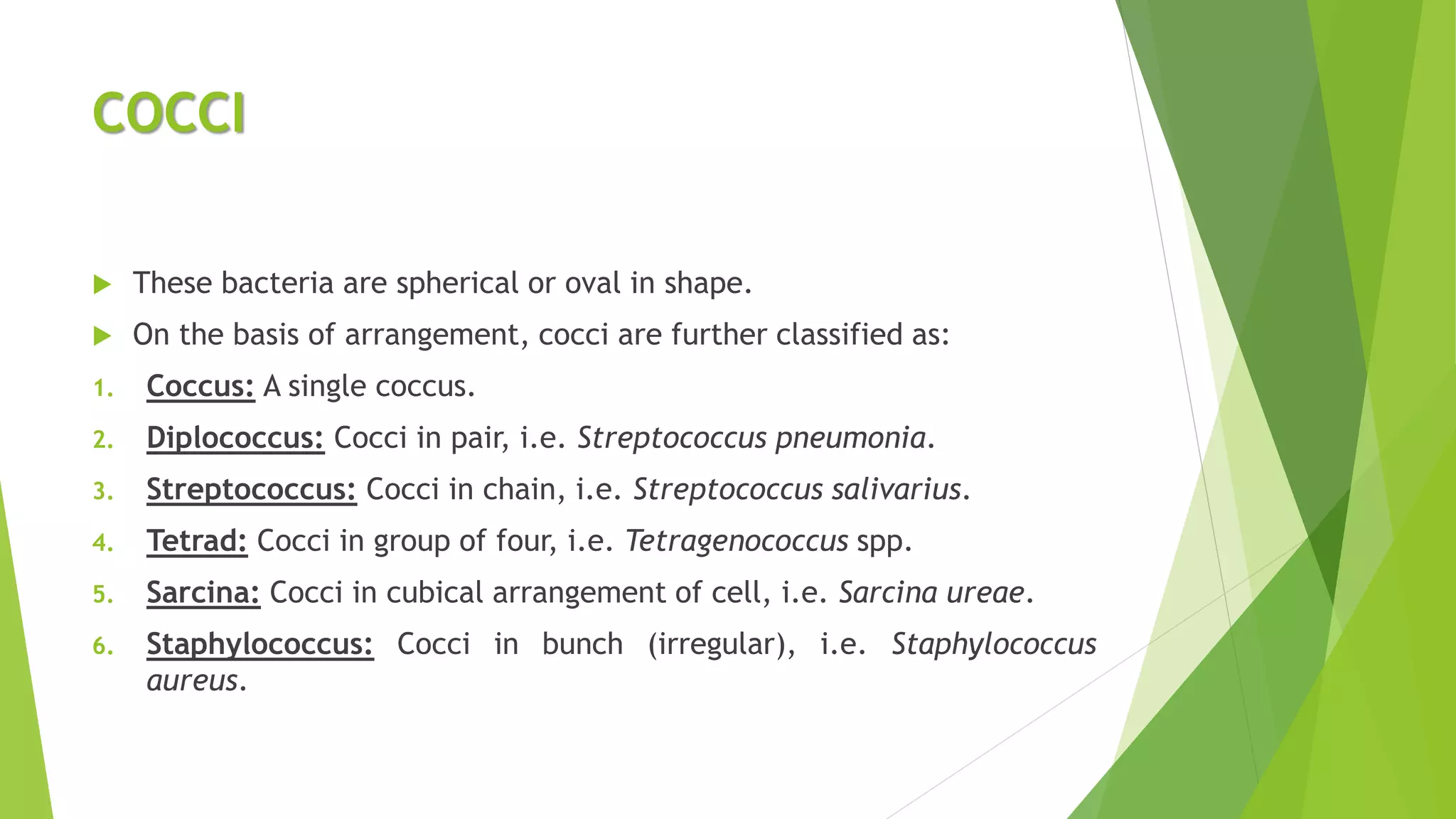 Types of Bacteria | PDF