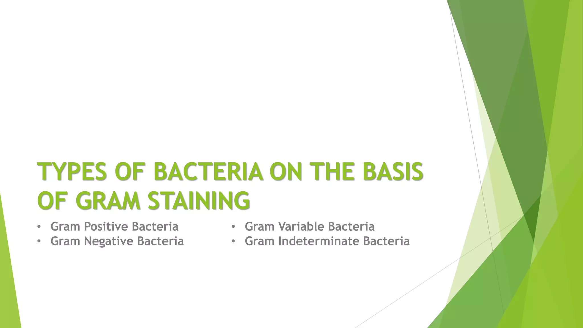 Types of Bacteria | PDF