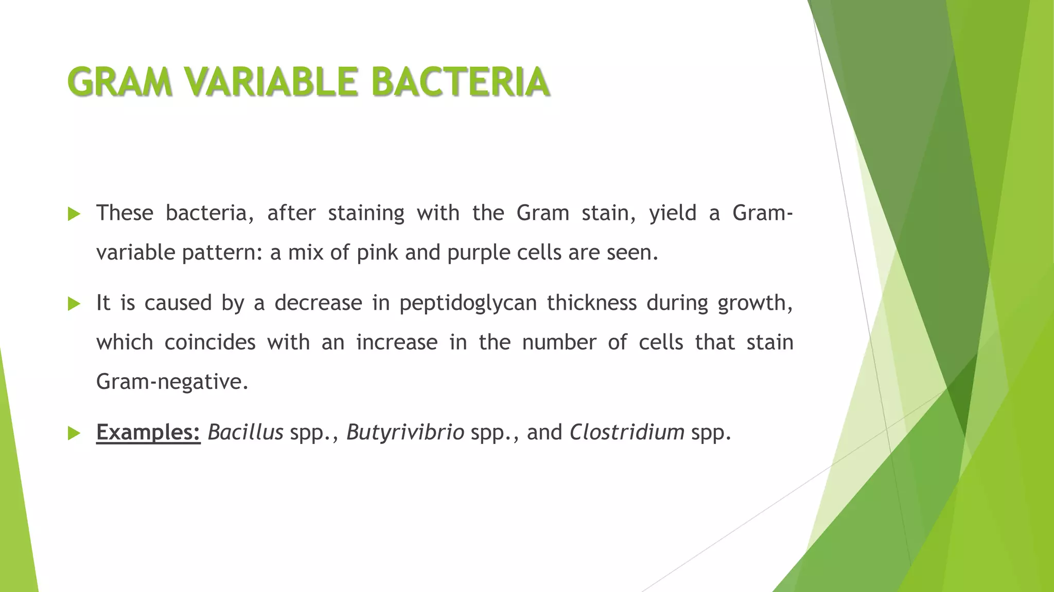 Types of Bacteria | PDF