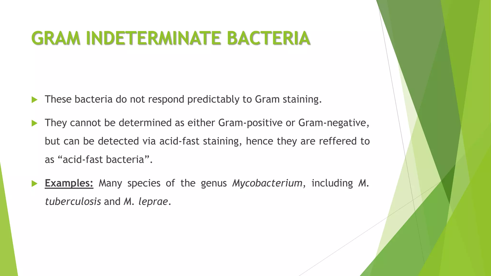 Types of Bacteria | PDF